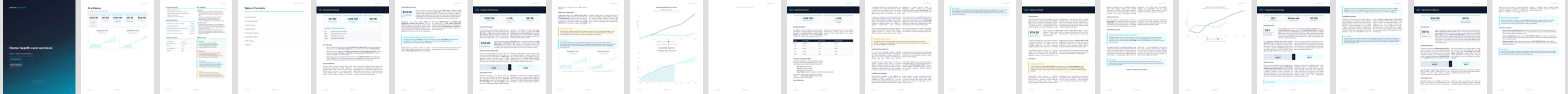 Home Health Care Agencies Industry Report 2026 | VantaInsights